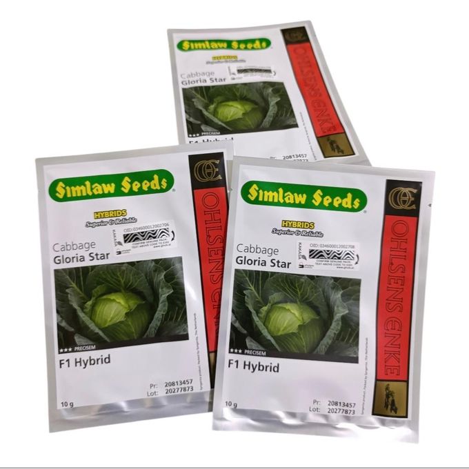 Shop Gloria Star F1 Cabbage Seeds-10gm