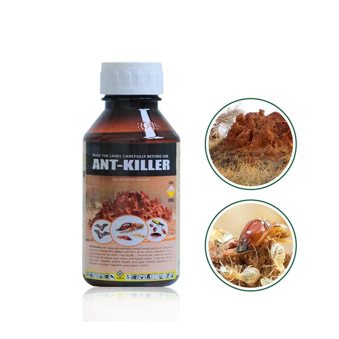 Shop Ant Killer, Ant Hills Killer, Termiticide/Termite