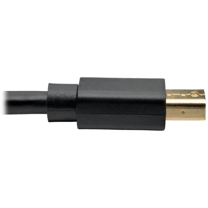 Shop Mini DisplayPort To DisplayPort Cable, Mini DP To DP